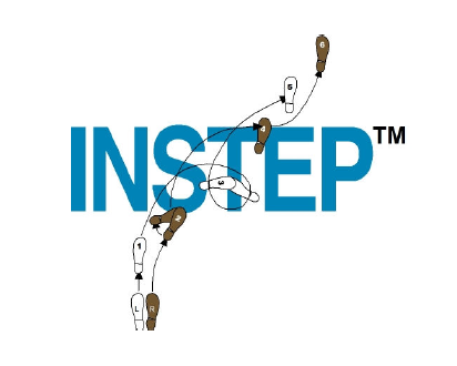 color Instep logo